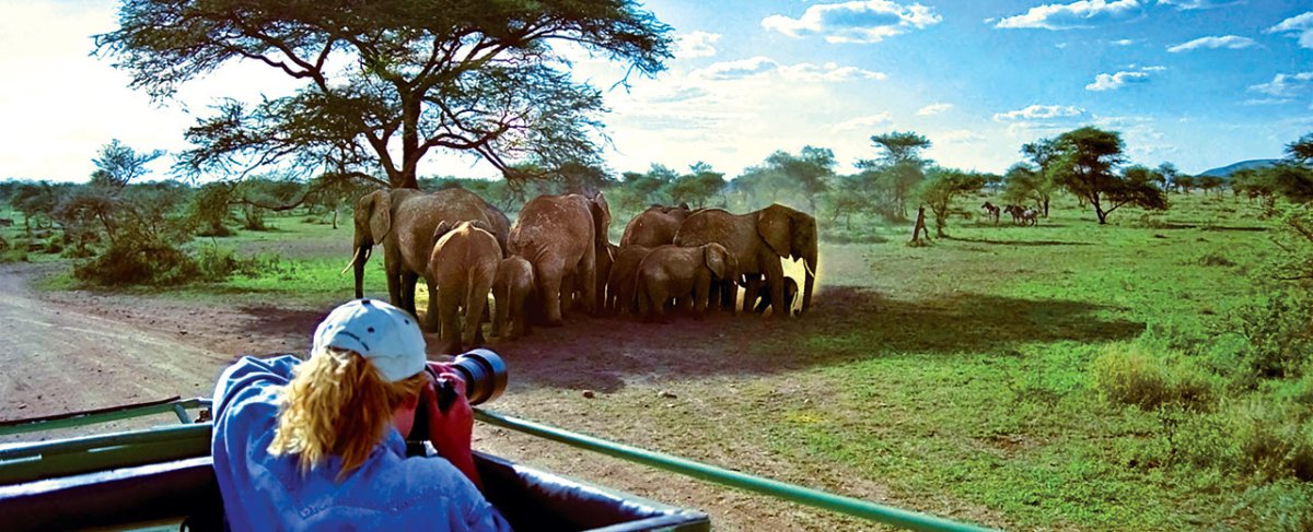 On Safari – Gate 1 Travel Blog