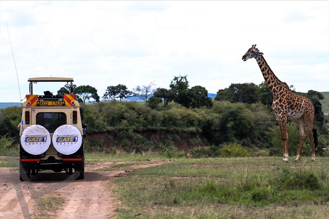Virtual Travel Day 3: Kenya & Tanzania Safari – Gate 1 Travel Blog
